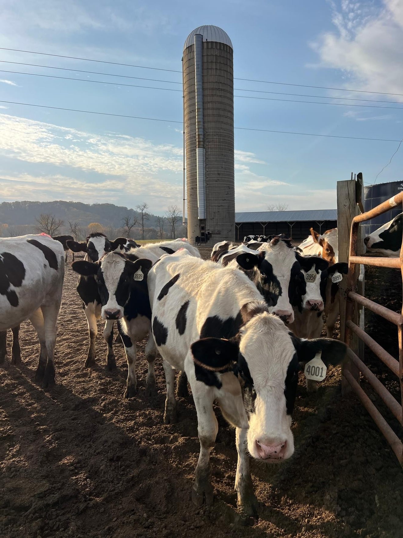 New Age Custom Farming – Livin' Tees Co.